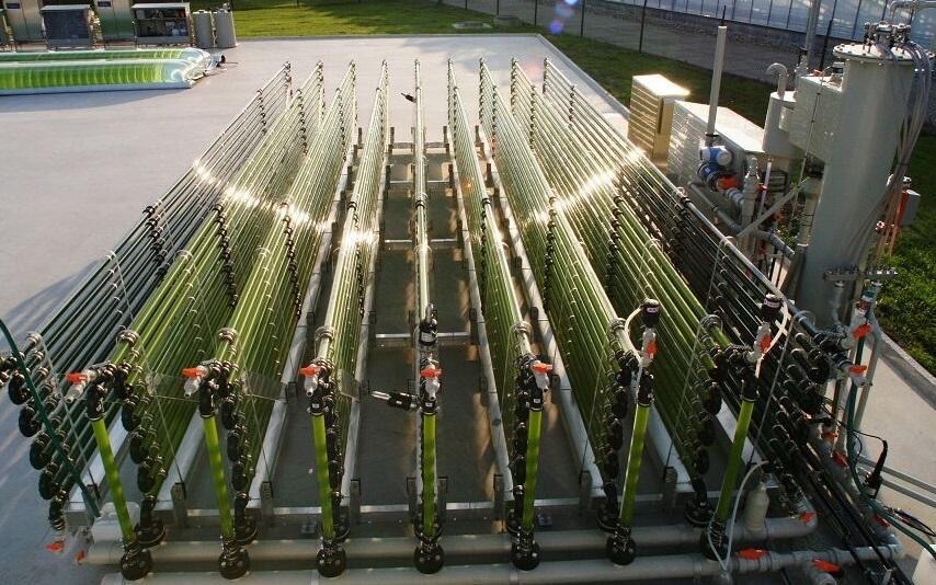 Green Force - Choy Lee Tech Limited